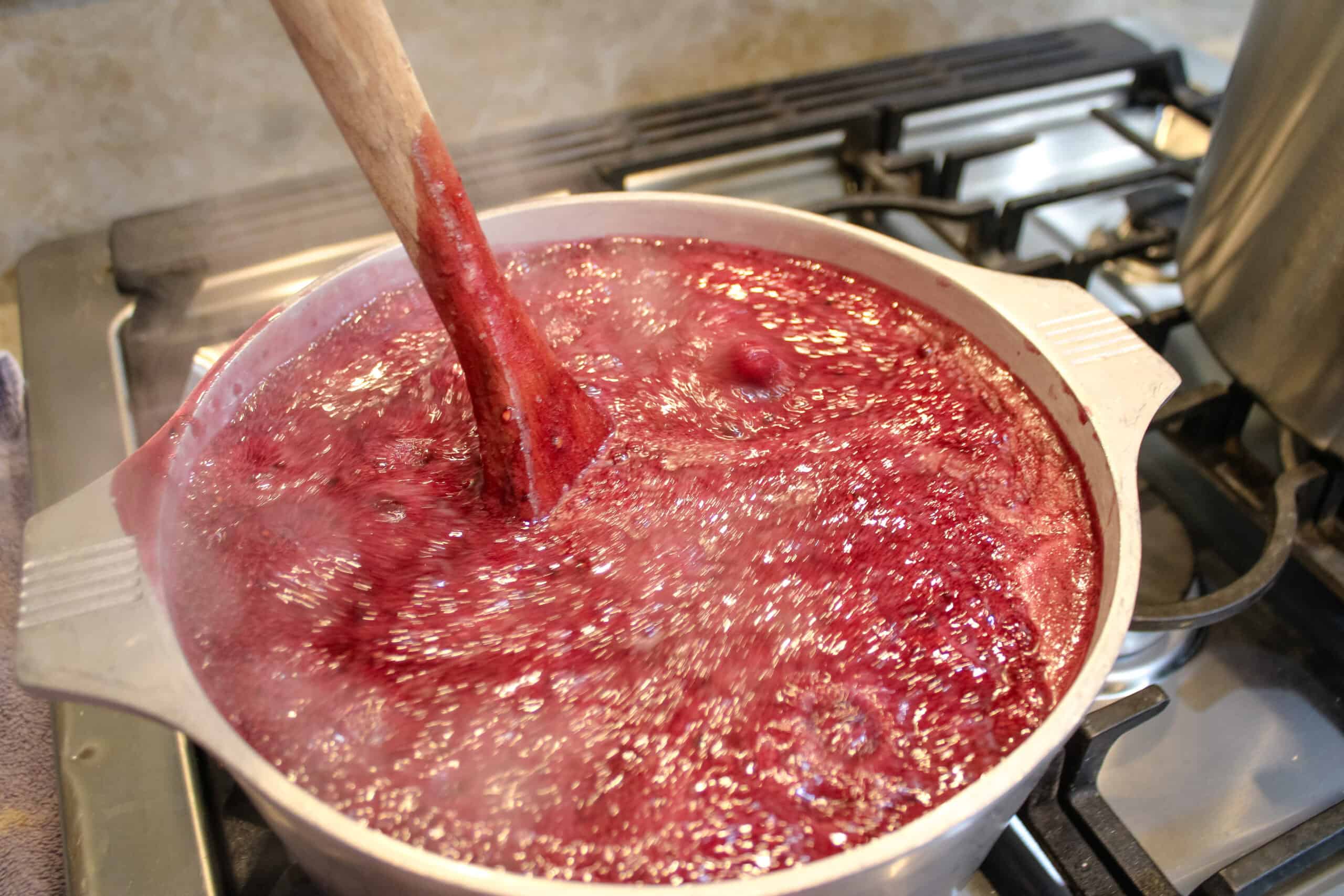 Blackberry Jam - Baked Broiled and Basted